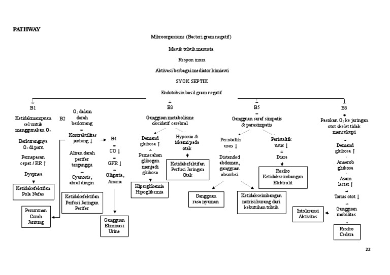 PATHWAY SYOK SEPSIS.docx