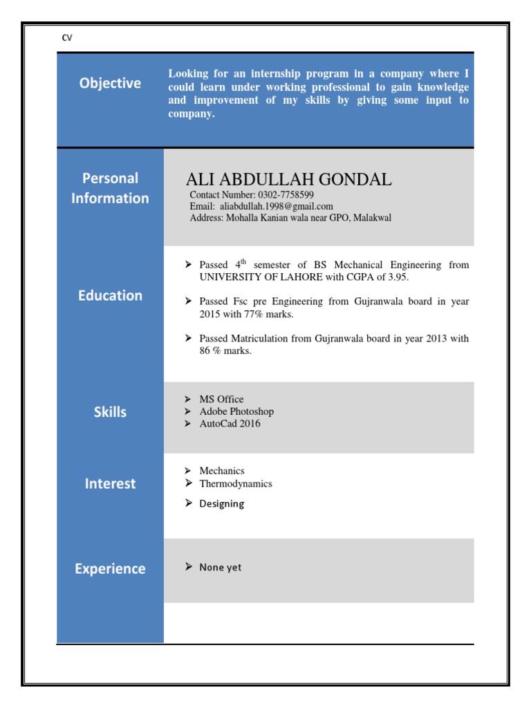 Abdullah Gondal's Internship CV | PDF