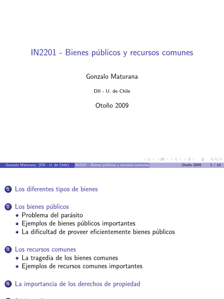 8 Bienes P Blicos PDF | PDF | Bien público | Bienes