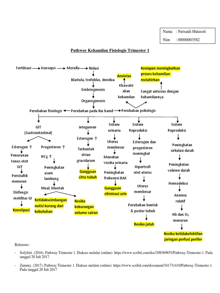 Pathway Kehamilan Trimester 1 | PDF