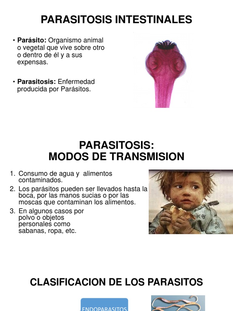 Parasitosis Intestinales | PDF | Diarrea | Enfermedades y trastornos