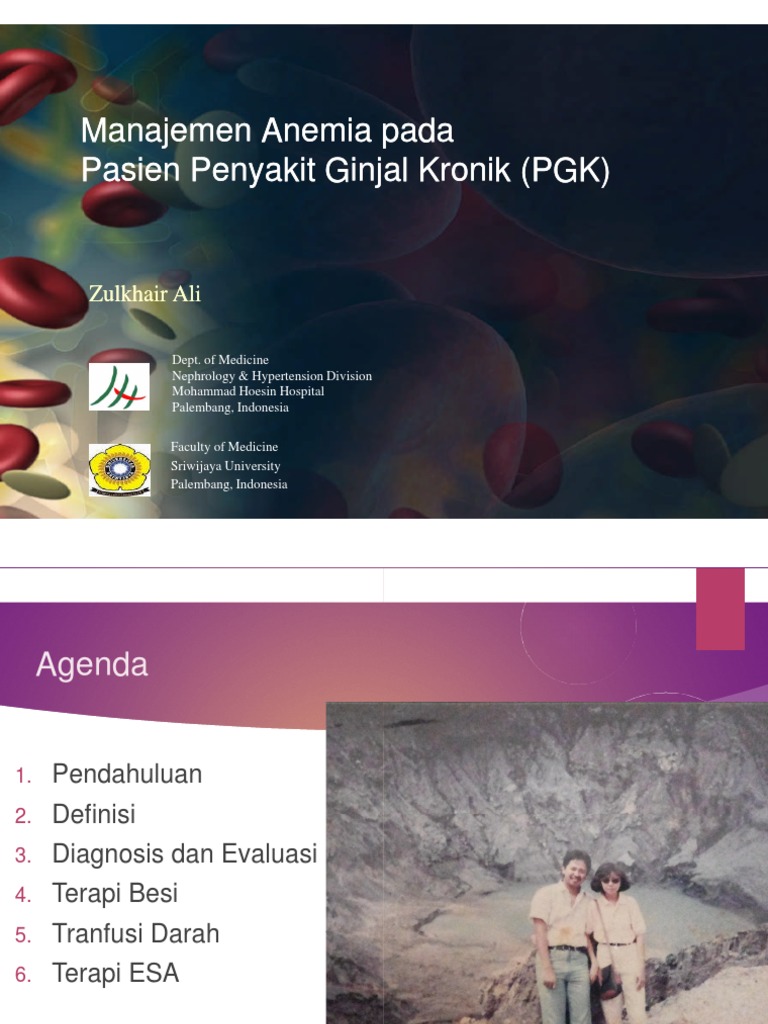 Manajemen Anemia PGK - Bandung PDF | PDF