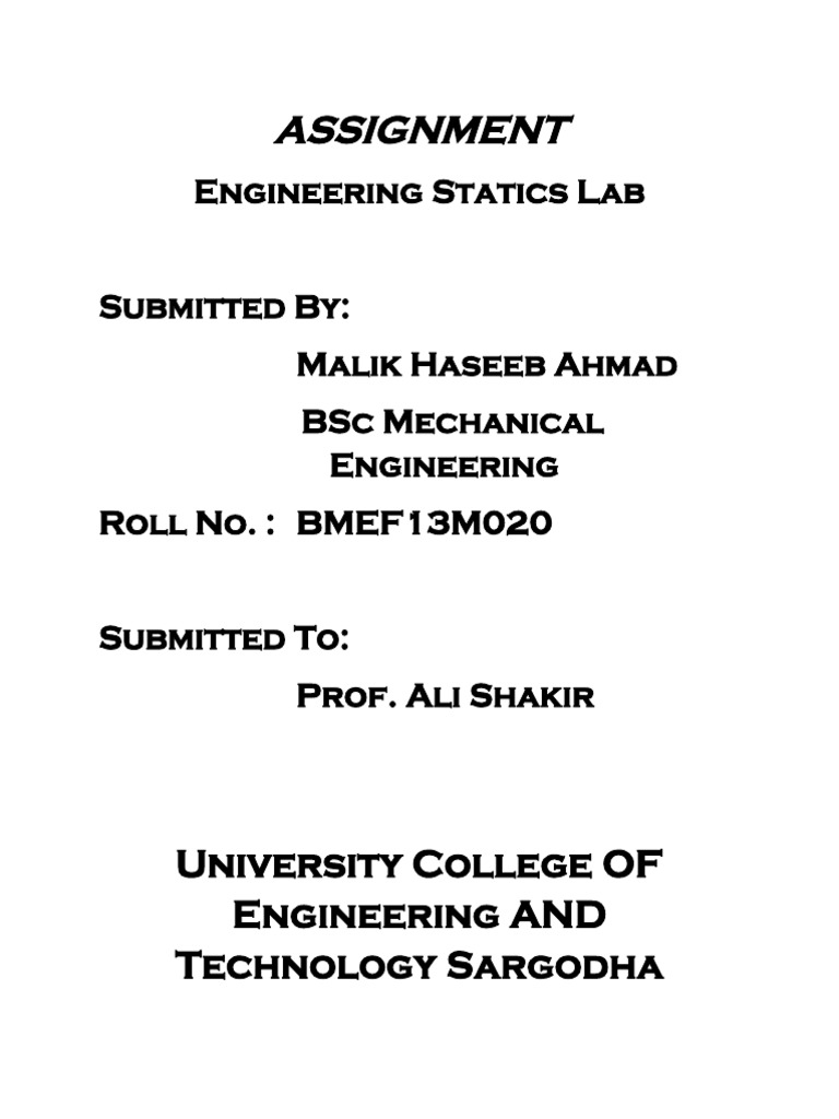 Assignment: Engineering Statics Lab | PDF