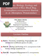Importance of Roguing in Seed Production | PDF | Edible Plants | Crops