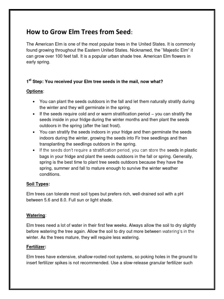 Elm Tree Guide | PDF | Seed | Horticulture And Gardening