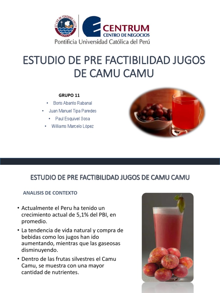 Trabajo Final Camu Camu | PDF | Perú | Microeconomía