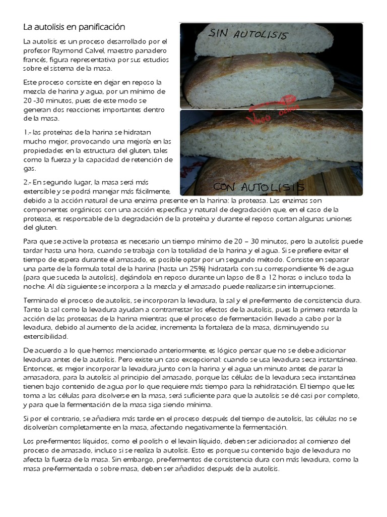Proceso de Autolisis en Panificación | PDF | Levadura | Panes