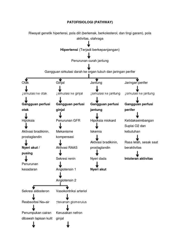 Patofisiologi CKD Et Causa HT DG HD | PDF