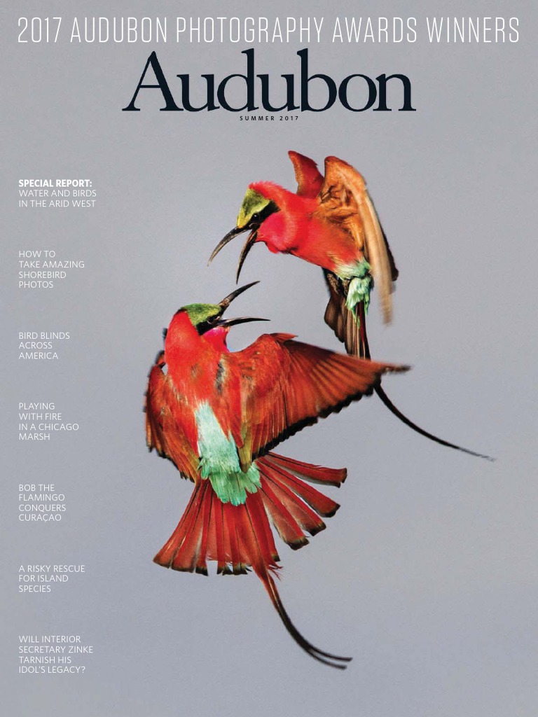 Audubon Magazine - Summer 2017 | PDF | Birds | Birdwatching