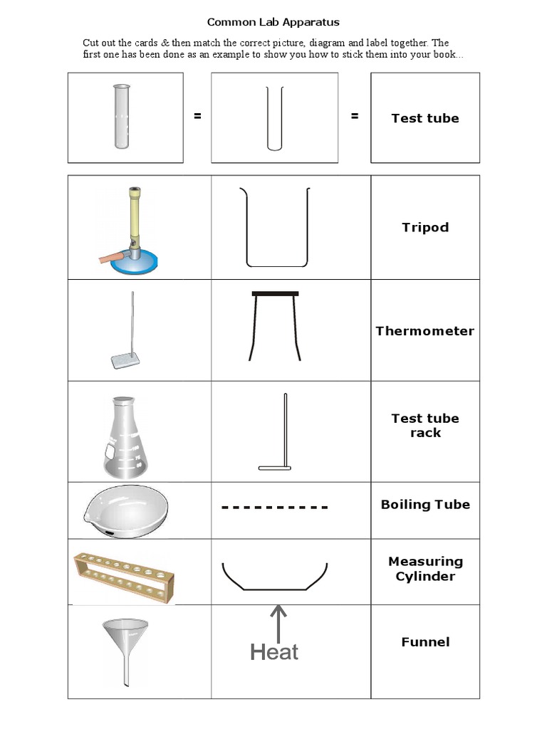 Common Lab Apparatus - Cut & Stick | PDF