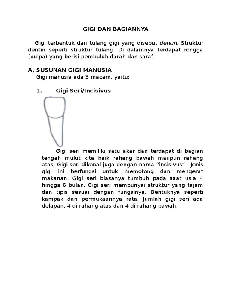 Gigi Dan Bagiannya | PDF