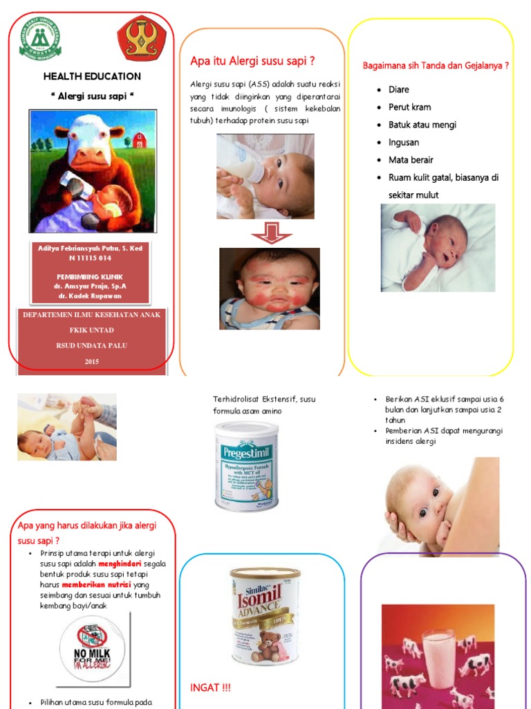 LEAFLET-Alergi Susu Sapi | PDF