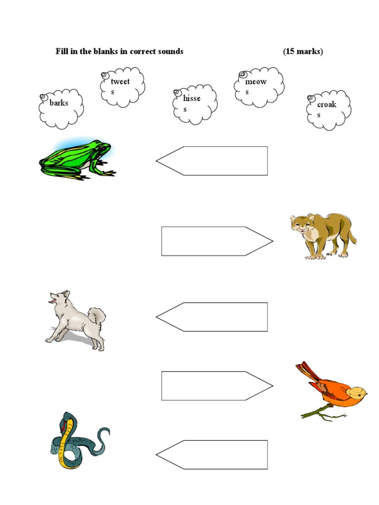 Science Year 1test 2.1 | PDF