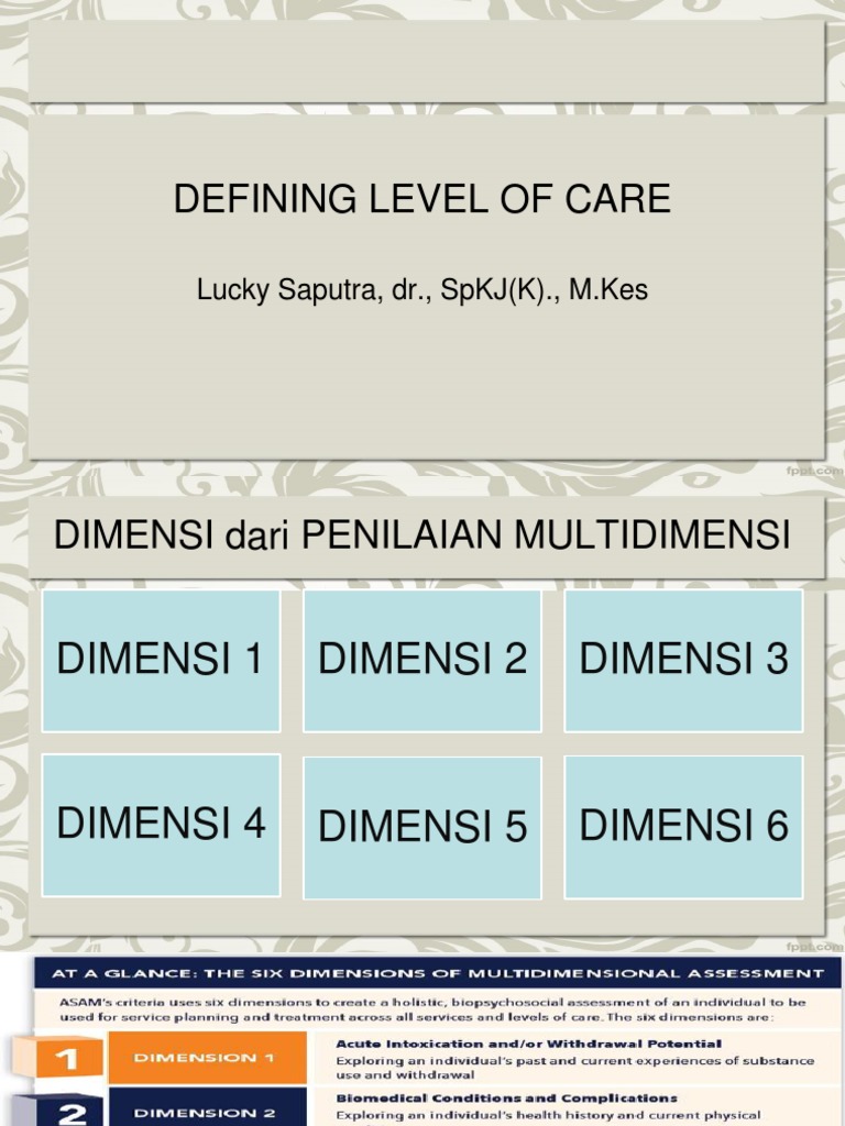 Defining Level of Care | PDF