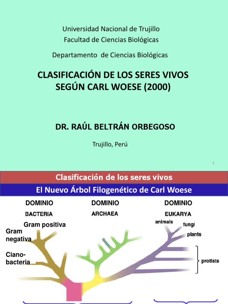 CLASIFICACION DE WOESE | Biología Celular) | Eucariotas