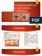 Teorías de Caries y Triada de Keyes | PDF | Las bacterias | Diente