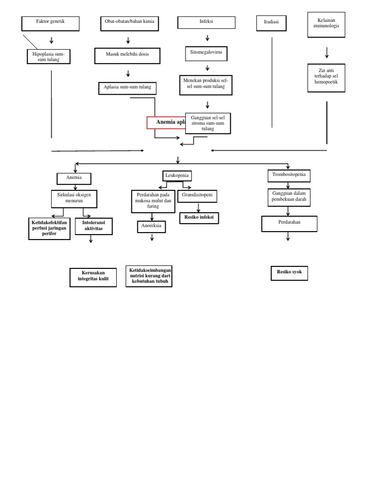 Pathway Anemia Aplastik | PDF