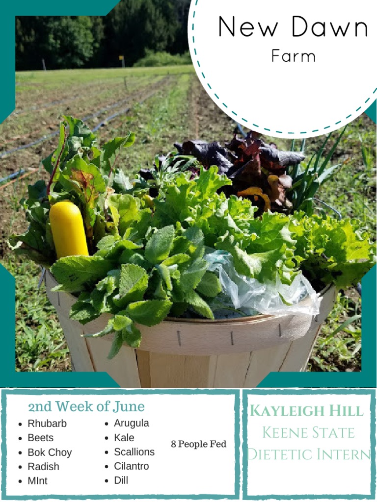 Kayleigh Hill: Keene State Dietetic Intern | PDF | Custard | Salad