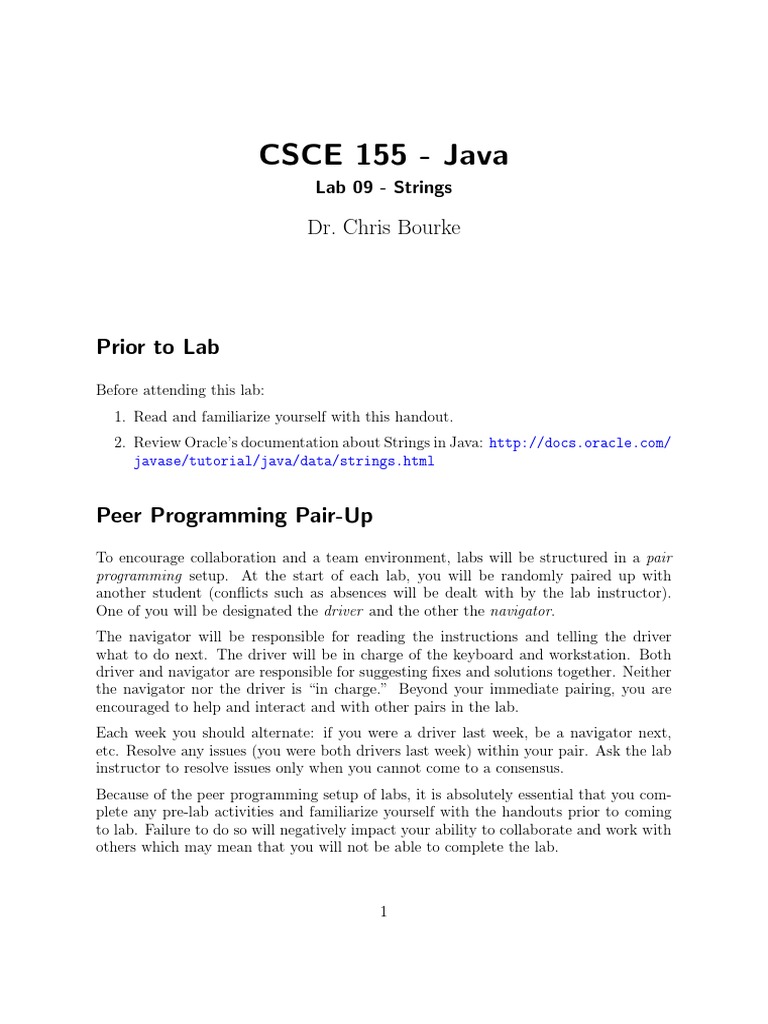 Lab09 Strings PDF | PDF | String (Computer Science) | Java (Programming Language)