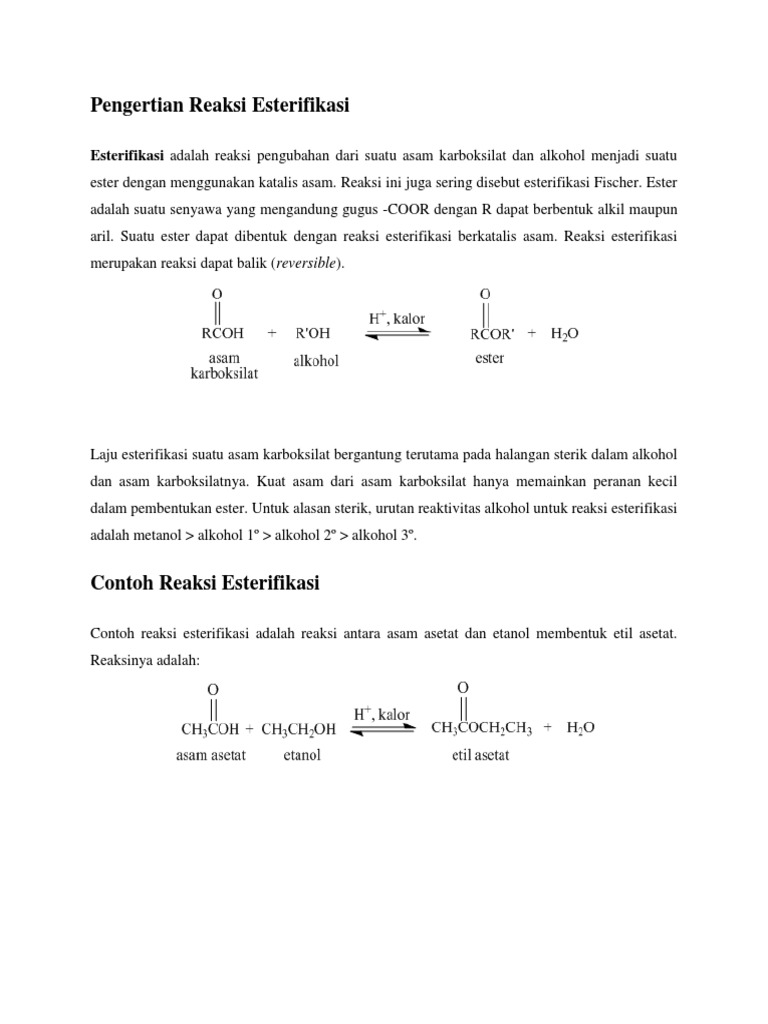 Tugas Satpros Esterifikasi | PDF