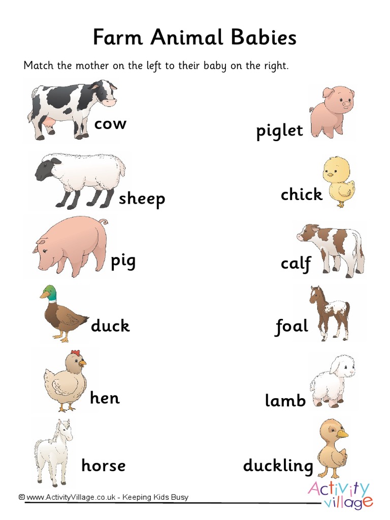 Farm Animals And Their Babies Worksheet