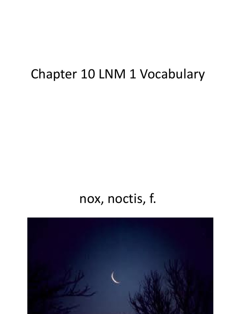 Chapter 10 Vocabulary | PDF