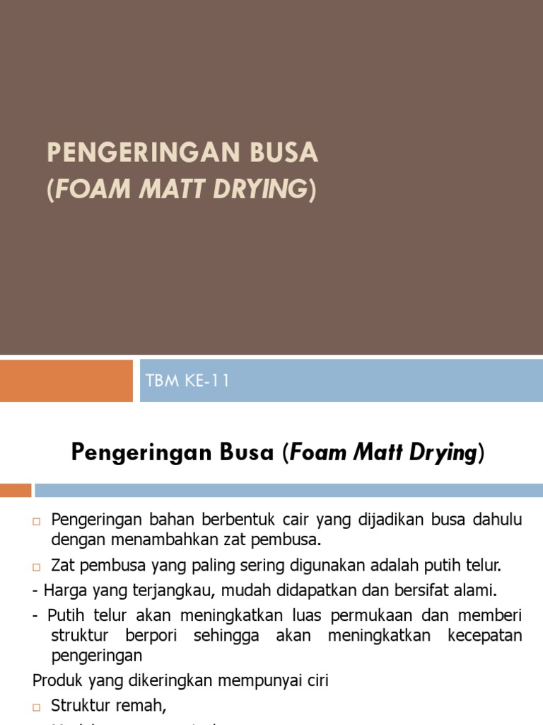 Presentasi Foam Mat Drying | PDF | Teknologi & Rekayasa