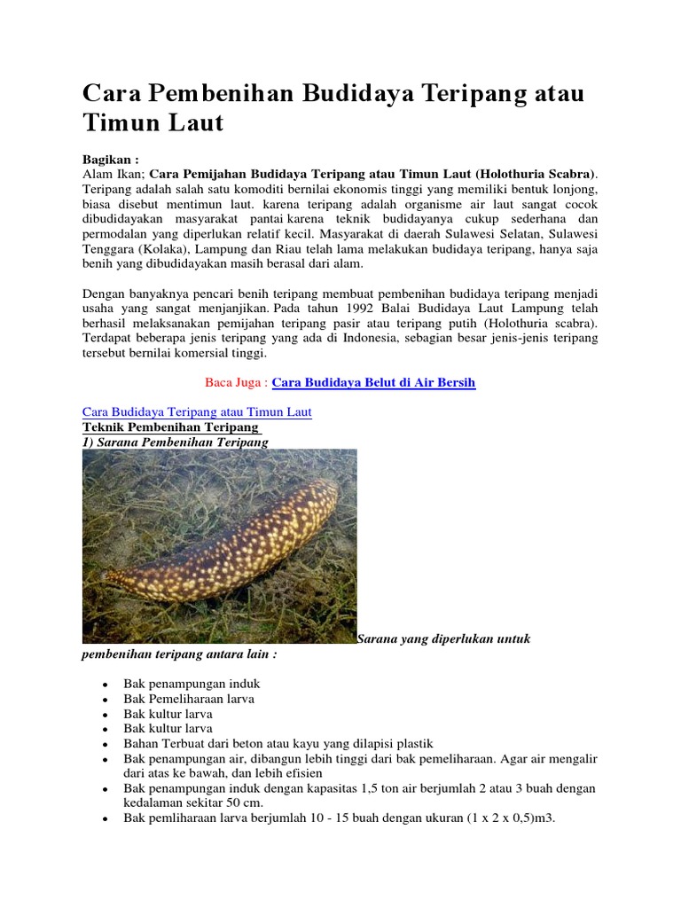 Cara Pembenihan Budidaya Teripang Atau Timun Laut | PDF