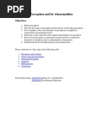 MMSE-P and Clock Drawing Test Guide | PDF | Applied Psychology ...
