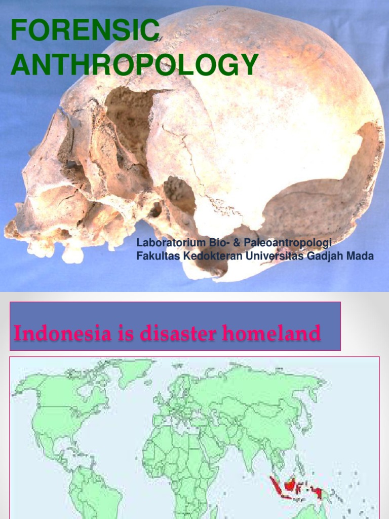 Forensic Anthropology | PDF | Vertebra | Forensic Science