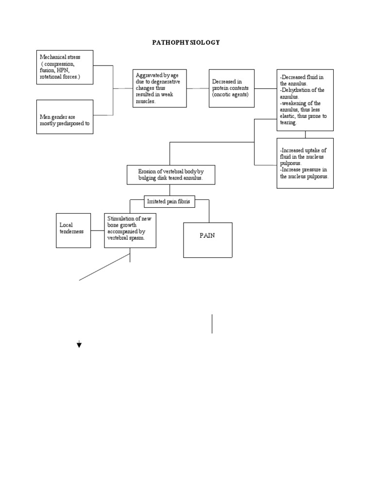 Herniated Nucleus Pulposus | Animal Anatomy | Human Anatomy