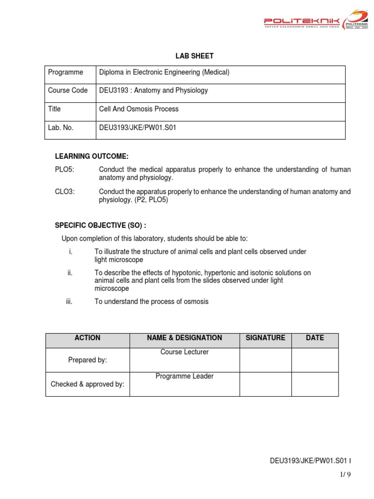Lab 1 Cell and Osmosis | PDF | Osmosis | Biology