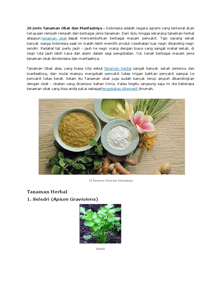 20 Jenis Tanaman Obat Dan Manfaatnya | PDF