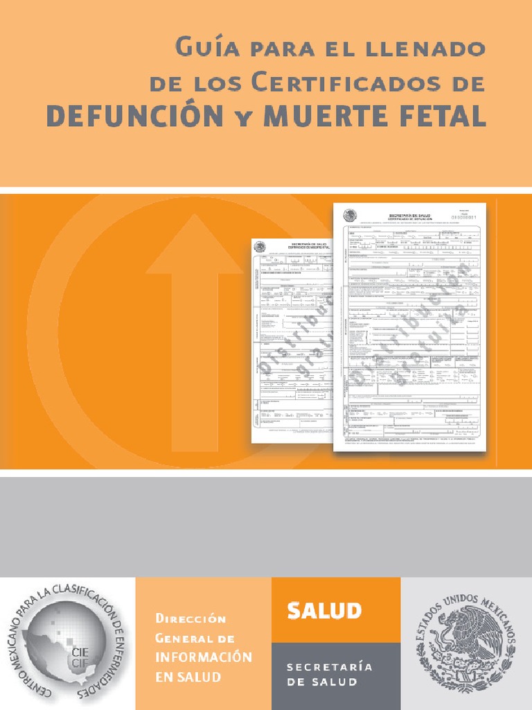 Guia_Llenado_Cert_Defuncion_y_Muerte_Fetal.pdf | Maternal Death | Death