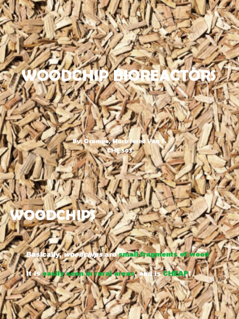 Woodchip Bioreactors Pdf Wetland Water