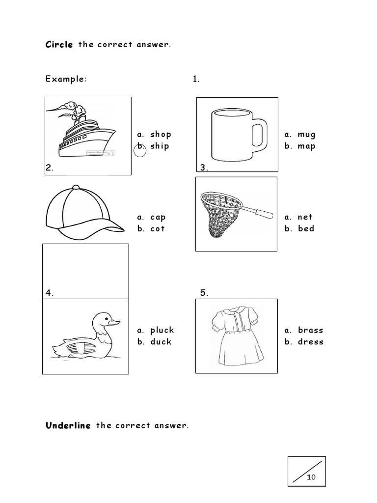 Year 2 Exam Paper | PDF | Leisure | Foods