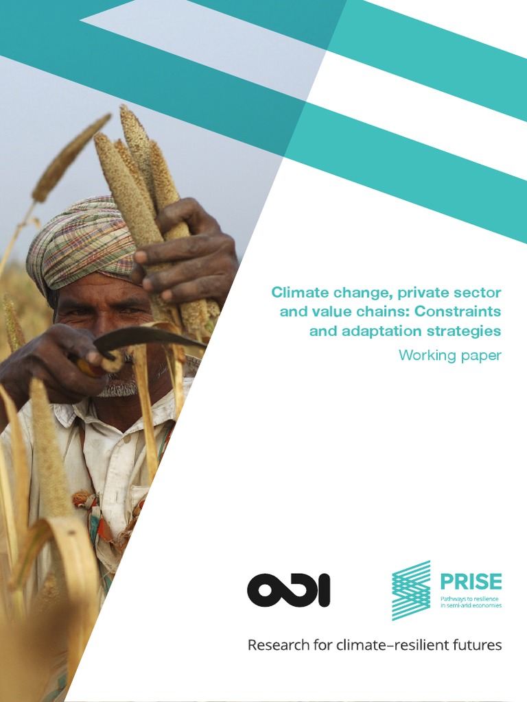 Climate Change, Private Sector and Value Chains: Constraints and ...