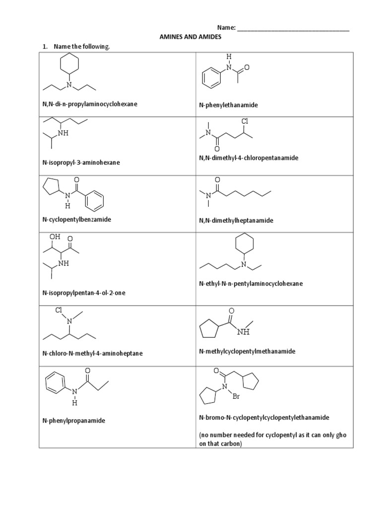 Amines and Amides Answers | Organic Chemistry | Chemistry