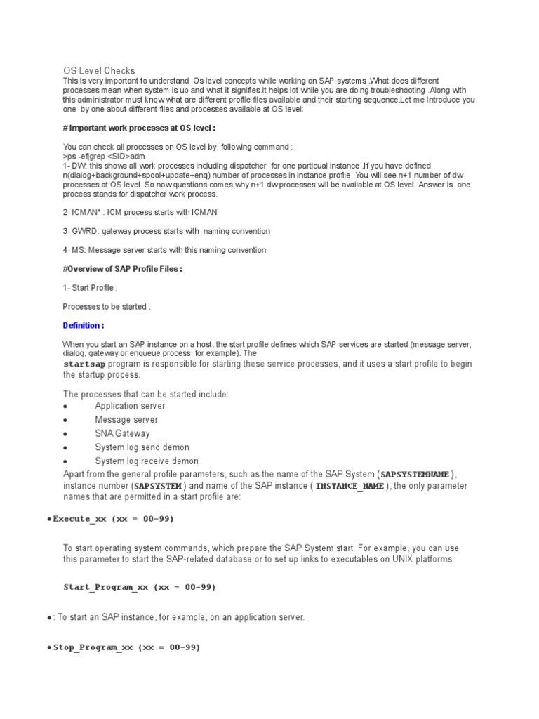 OS Level Checks | PDF | Filename | Computer Terminal