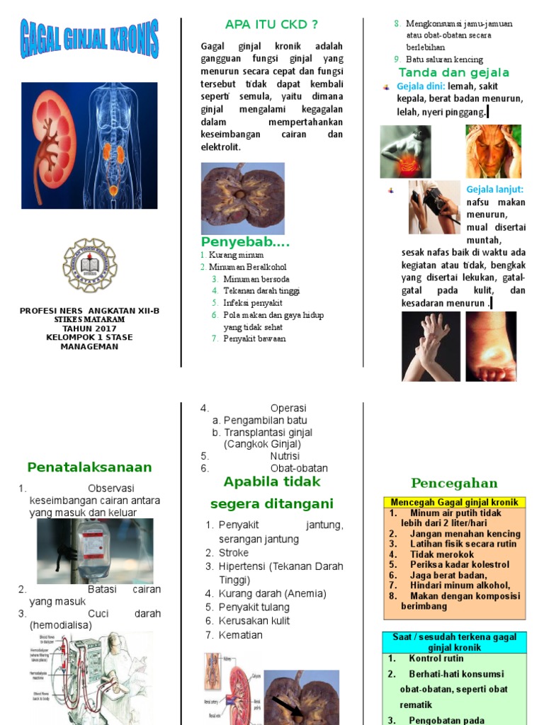 CKD Leaflet | PDF