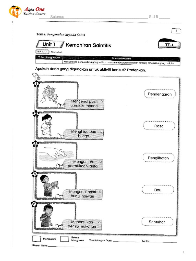Standard 5 Science | PDF