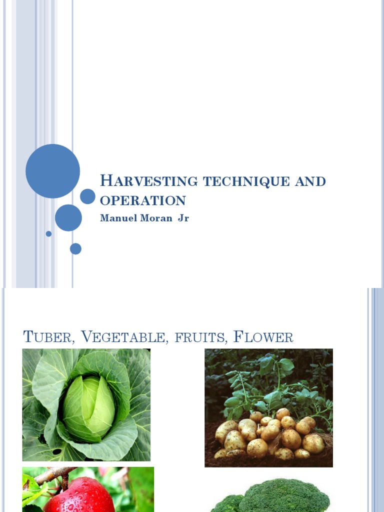 Harvesting Technique and Operation | PDF
