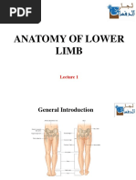 Understanding SIJ: Form and Force Closure | PDF | Pelvis | Vertebral Column