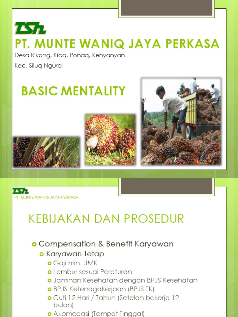 Basic Mentality PT MWJP (REV 1) | PDF