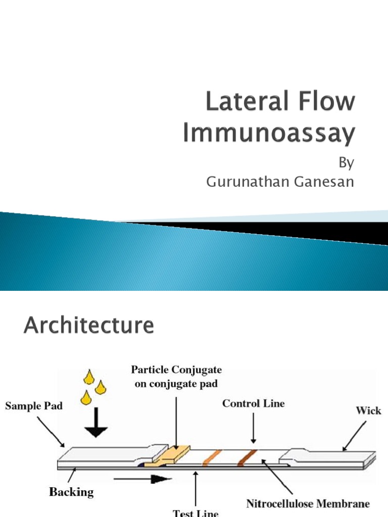 Lateral Flow Immunoassay | Medical Device | Immunoassay