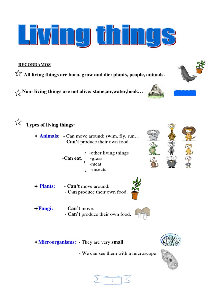 Living Things97 PDF | PDF