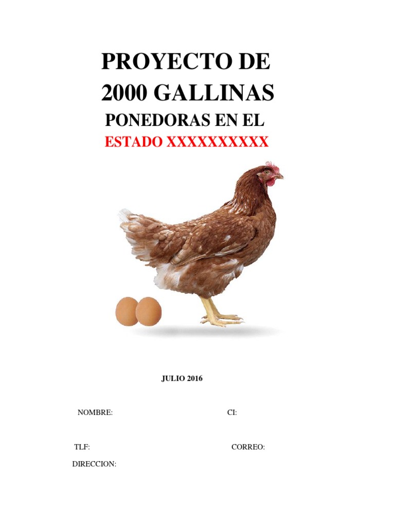 Proyecto 2000 Gallinas Ponedoras TSU JEAN ESTRADA | PDF | Alimentos | Aves