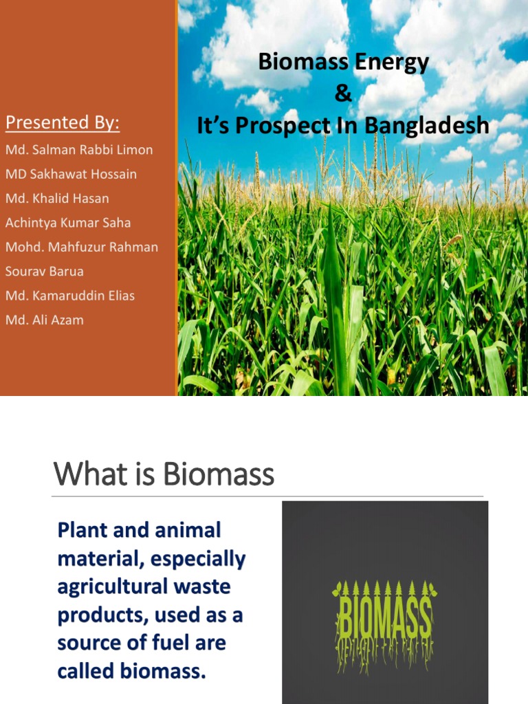 Prospect of Biomass in Bangladesh | PDF | Biogas | Biomass