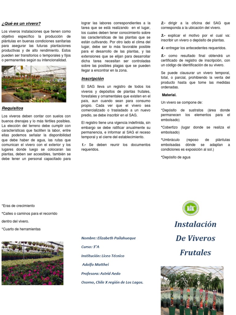 Triptico Viveros | PDF | Agua | Business