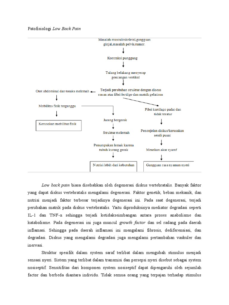 Patofisiologi Low Back Pain | PDF